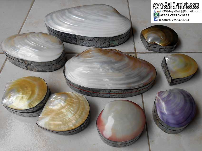 Sea Shell Trinket Boxes from Bali Indonesia – Bali-Crafts.com