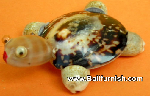 Turtle Sea Shell Souvenirs Bali Indonesia – Bali-Crafts.com